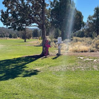 Likely Place RV & Golf Resort - Likely, California - RV LIFE Campground ...